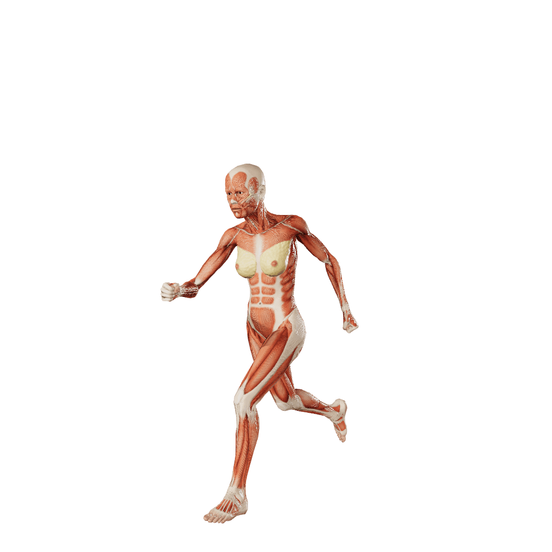 Running Female poses | POSEMANIACS - Royalty free 3d pose reference for ...