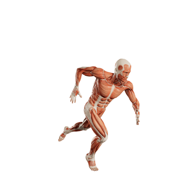 Running Male poses | POSEMANIACS - Royalty free 3d pose reference for ...