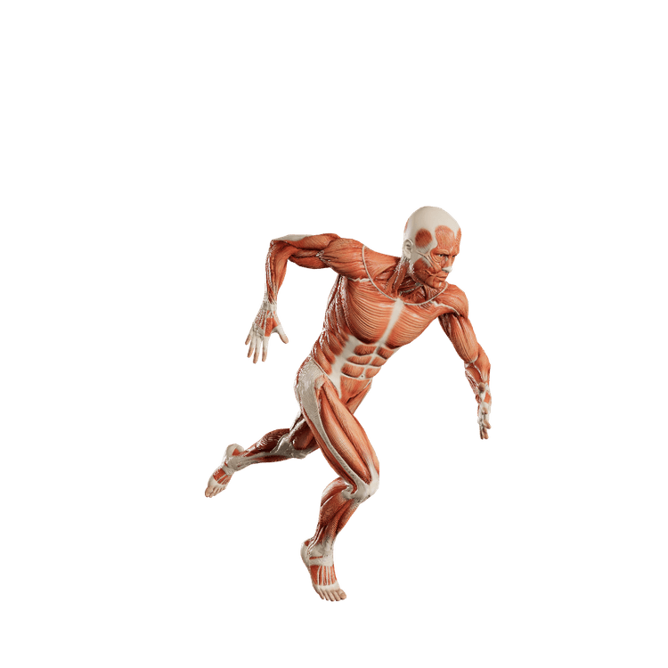 Running Male poses | POSEMANIACS - Royalty free 3d pose reference for ...