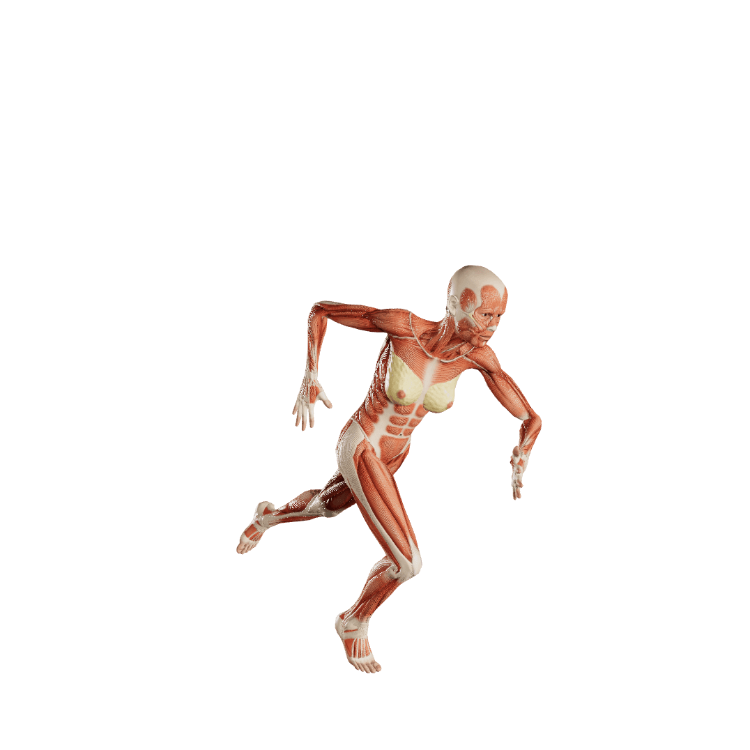 Running Female poses | POSEMANIACS - Royalty free 3d pose reference for ...