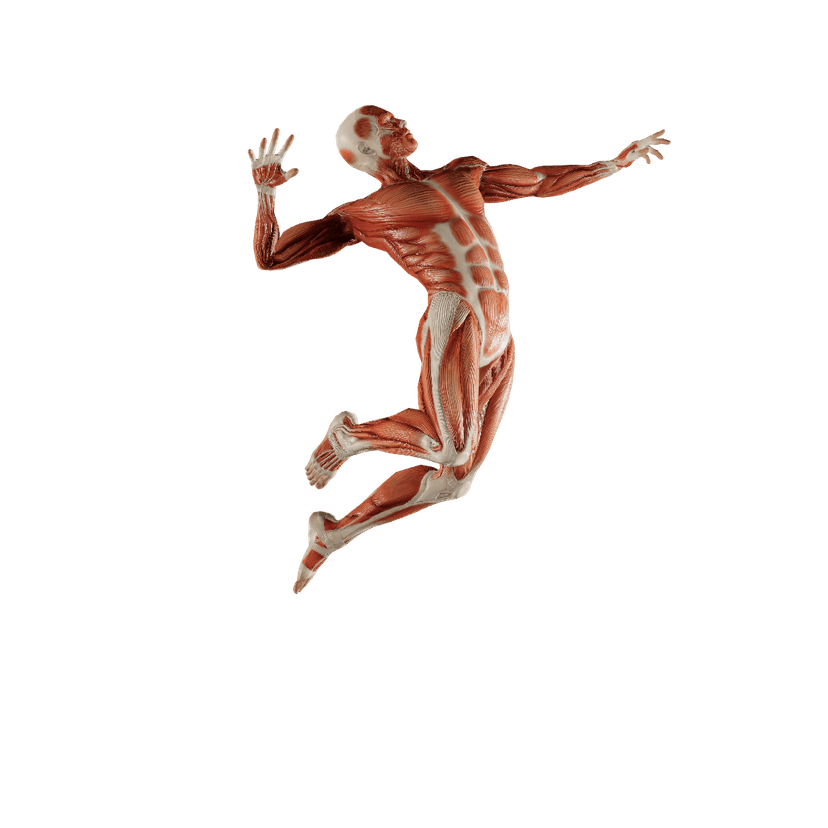 Ball game Unisex poses | POSEMANIACS - Royalty free 3d pose reference ...