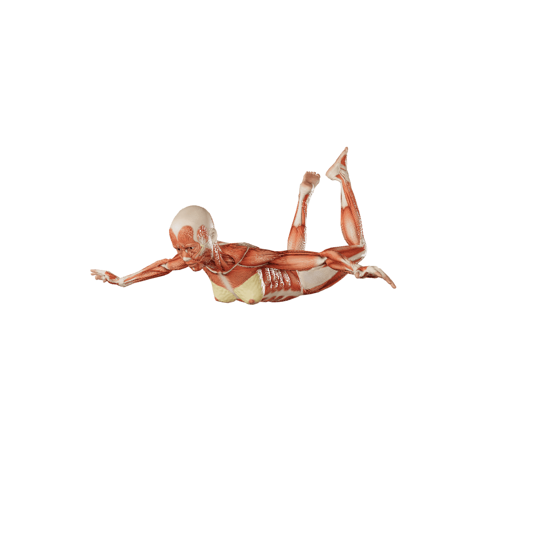 Falling Female poses | POSEMANIACS - Royalty free 3d pose reference for ...
