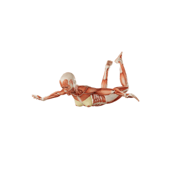 下落 女性 poses | POSEMANIACS - Royalty free 3d pose reference for all artists