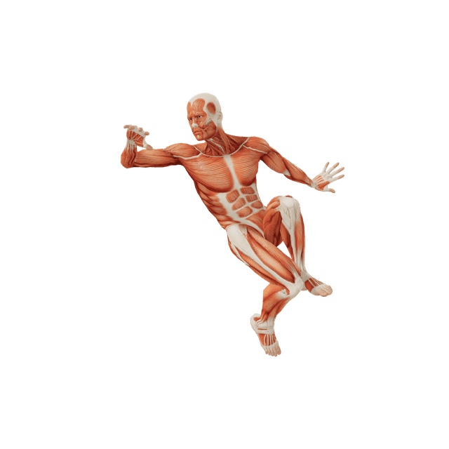 Parkour Unisex poses | POSEMANIACS - Royalty free 3d pose reference for ...