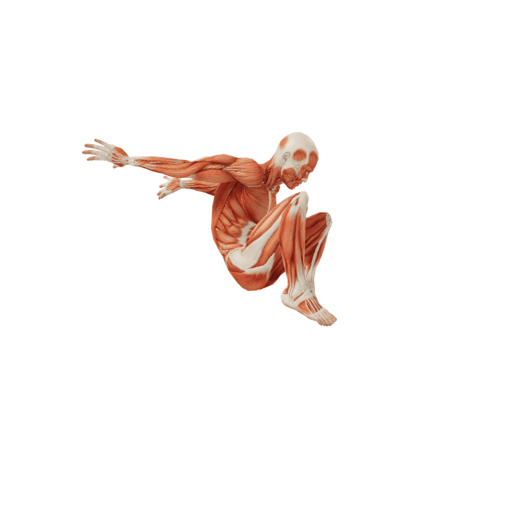 Pose 0000739, Male, Running, Jumping, Parkour, Twisting body, Raising ...