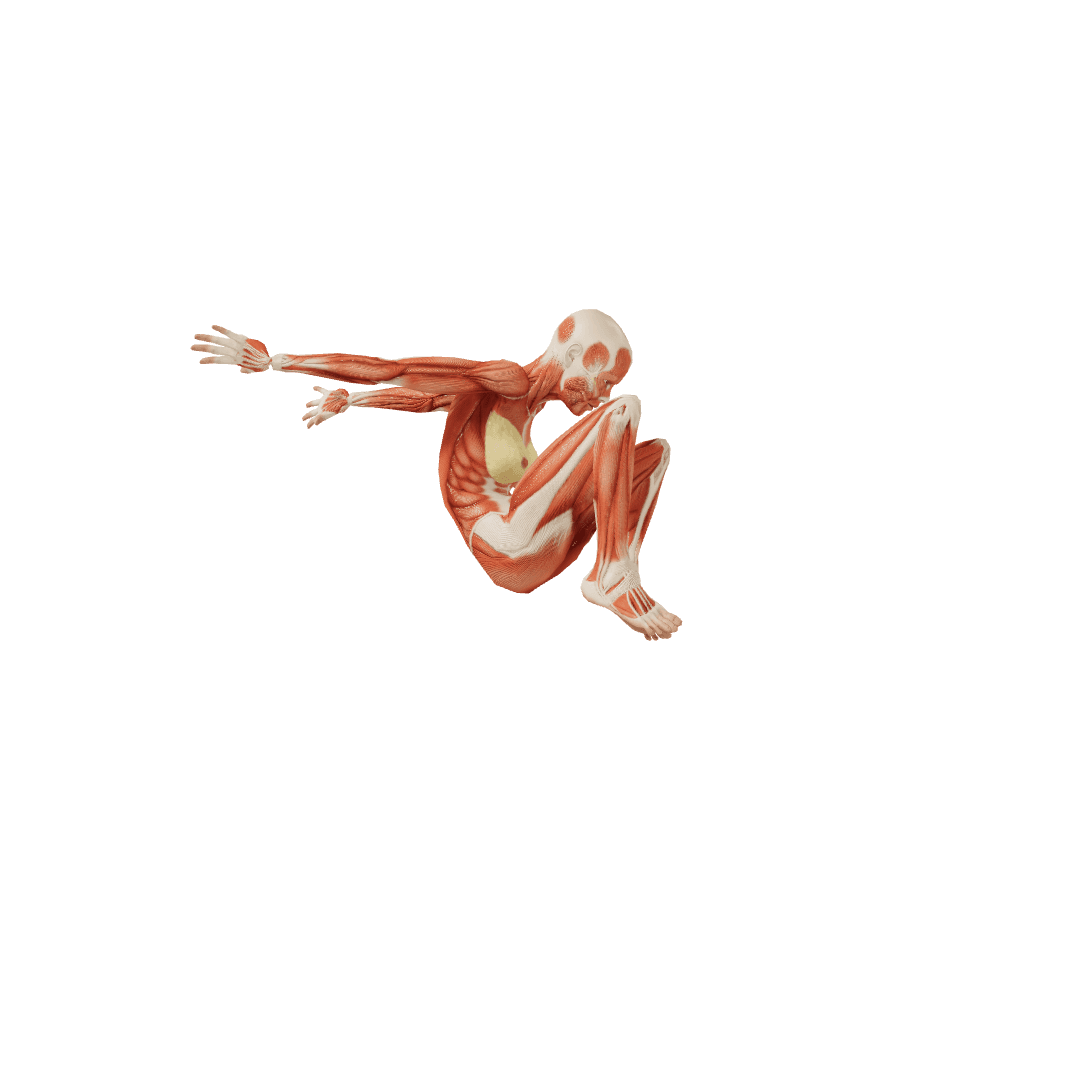 Pose 0000739, Male, Running, Jumping, Parkour, Twisting body, Raising ...