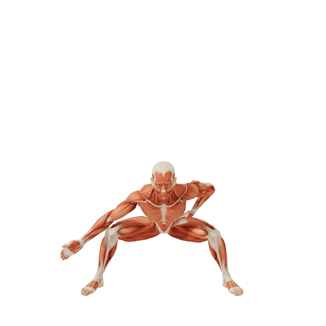 Sports Male poses | POSEMANIACS - Royalty free 3d pose reference for ...
