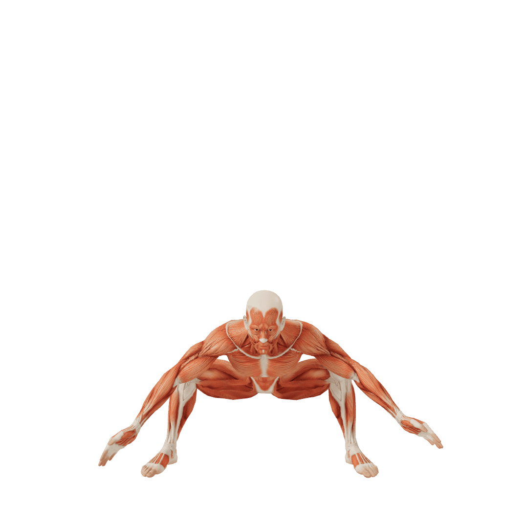 Pose 0000740, Male, Sitting, Squatting, Daily life | POSEMANIACS ...