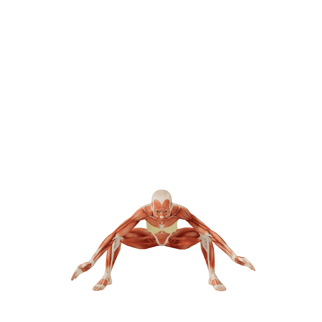 Pose 0000740, Male, Sitting, Squatting, Daily life | POSEMANIACS ...