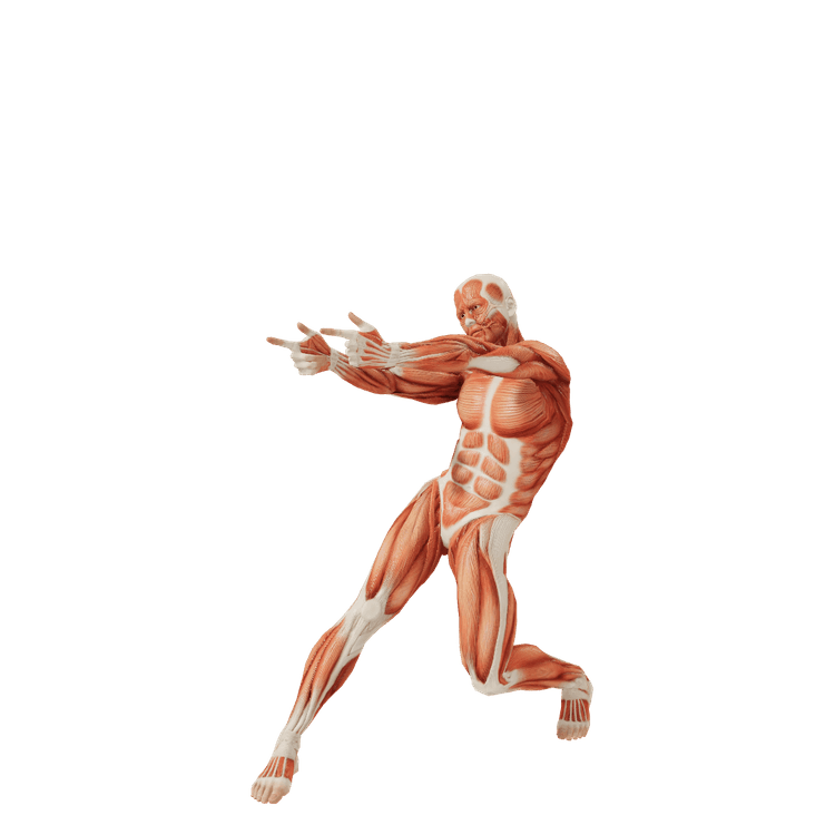 Pointing Male poses | POSEMANIACS - Royalty free 3d pose reference for ...