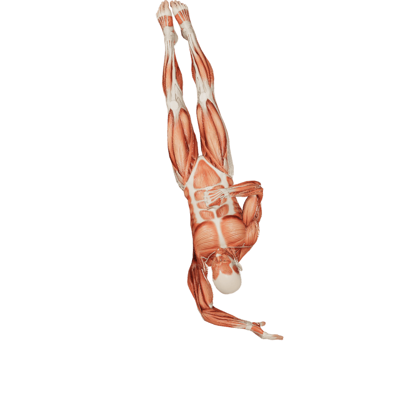 Falling Male poses | POSEMANIACS - Royalty free 3d pose reference for ...