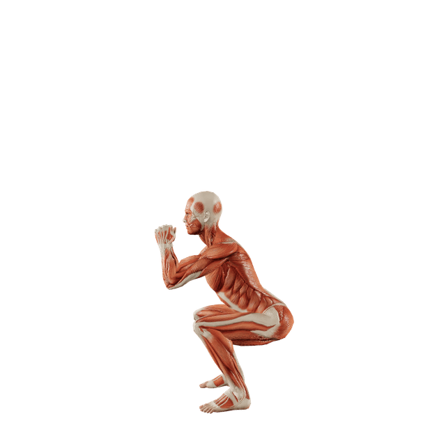 Squatting Male poses | POSEMANIACS - Royalty free 3d pose reference for ...