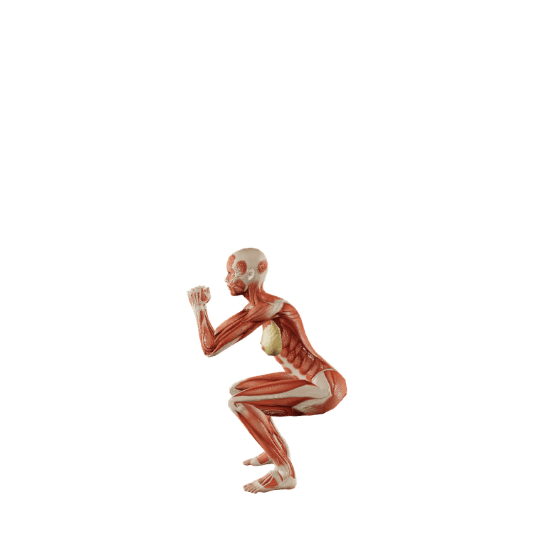 Agachado Unisex poses | POSEMANIACS - Royalty free 3d pose reference ...