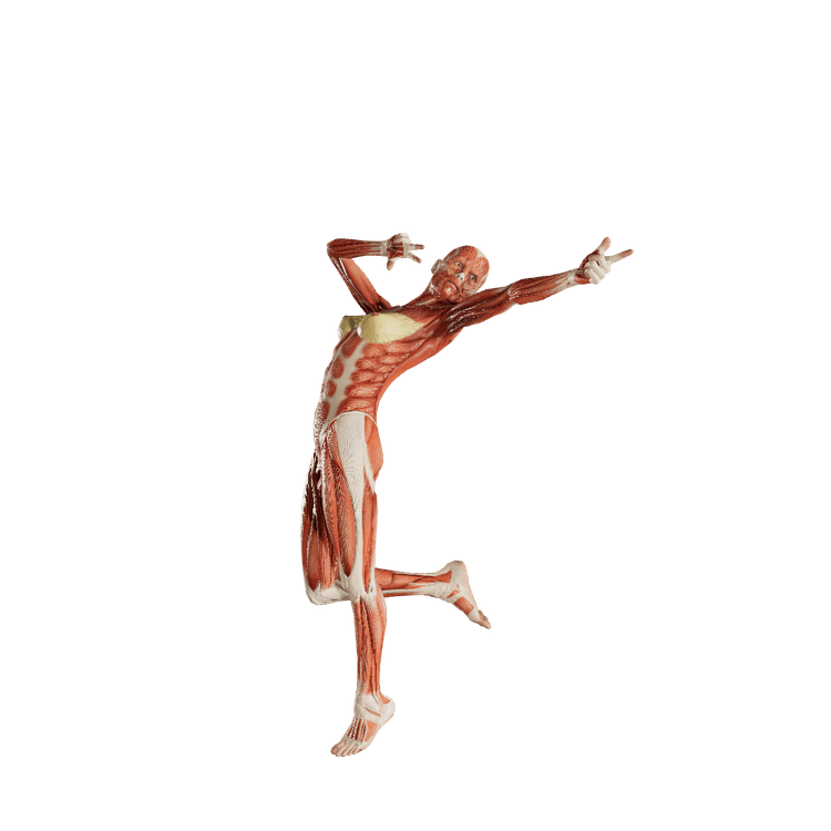 Pointing Female poses | POSEMANIACS - Royalty free 3d pose reference ...