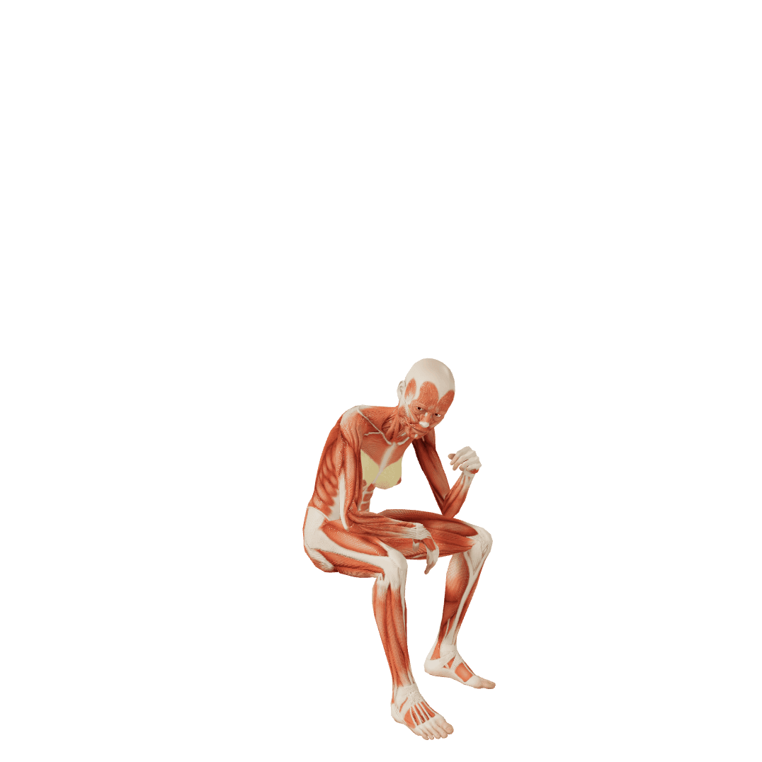 POSEMANIACS - Royalty free 3d pose reference for all artists