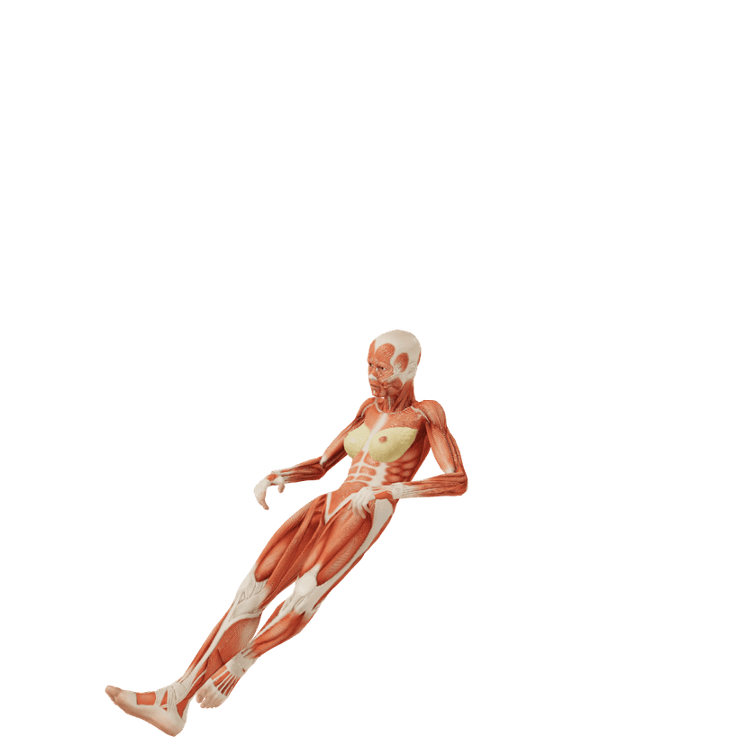 Crossing legs Female poses | POSEMANIACS - Royalty free 3d pose ...