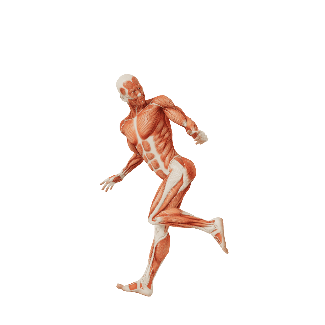Running Male poses | POSEMANIACS - Royalty free 3d pose reference for ...