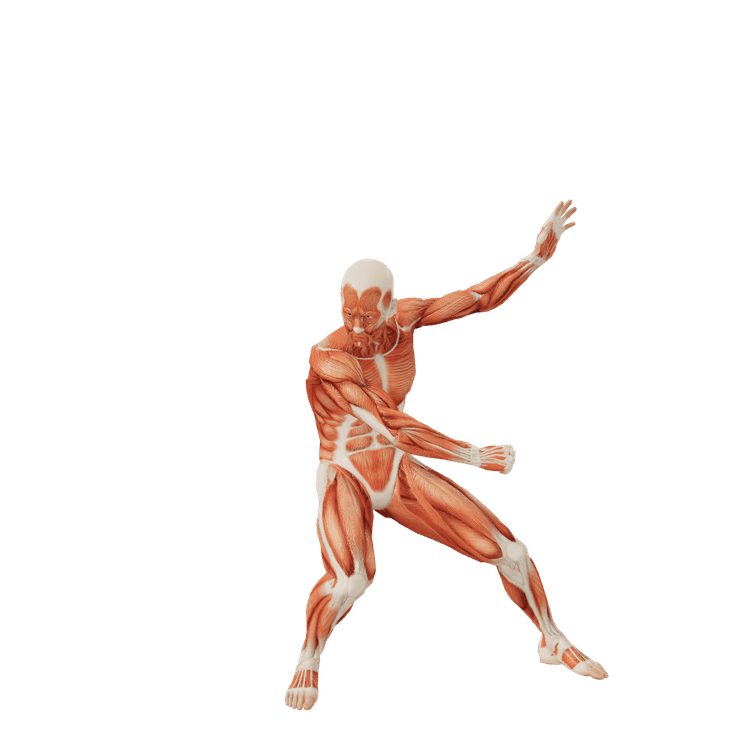 Pushing Male poses | POSEMANIACS - Royalty free 3d pose reference for ...