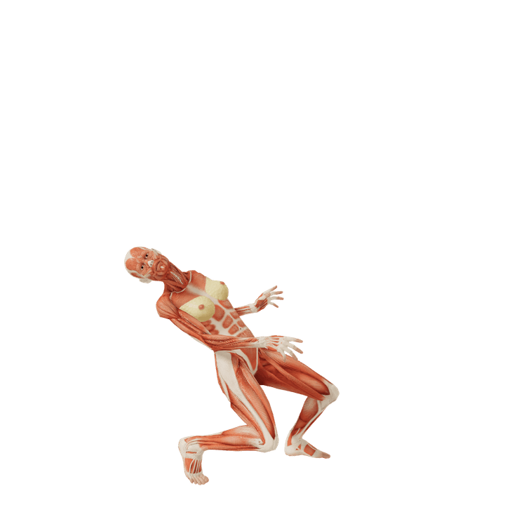 Damage Female poses | POSEMANIACS - Royalty free 3d pose reference for ...