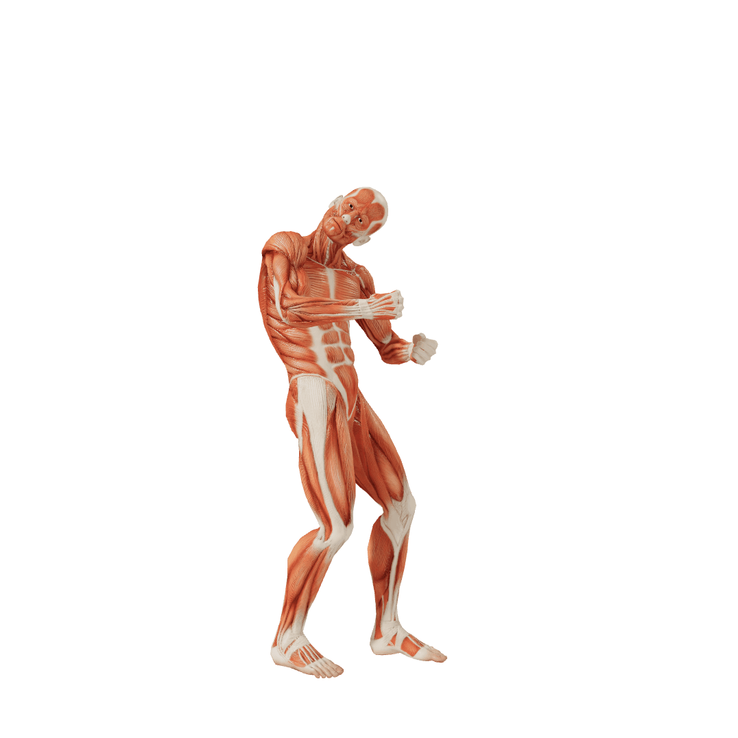 Damage Male poses | POSEMANIACS - Royalty free 3d pose reference for ...