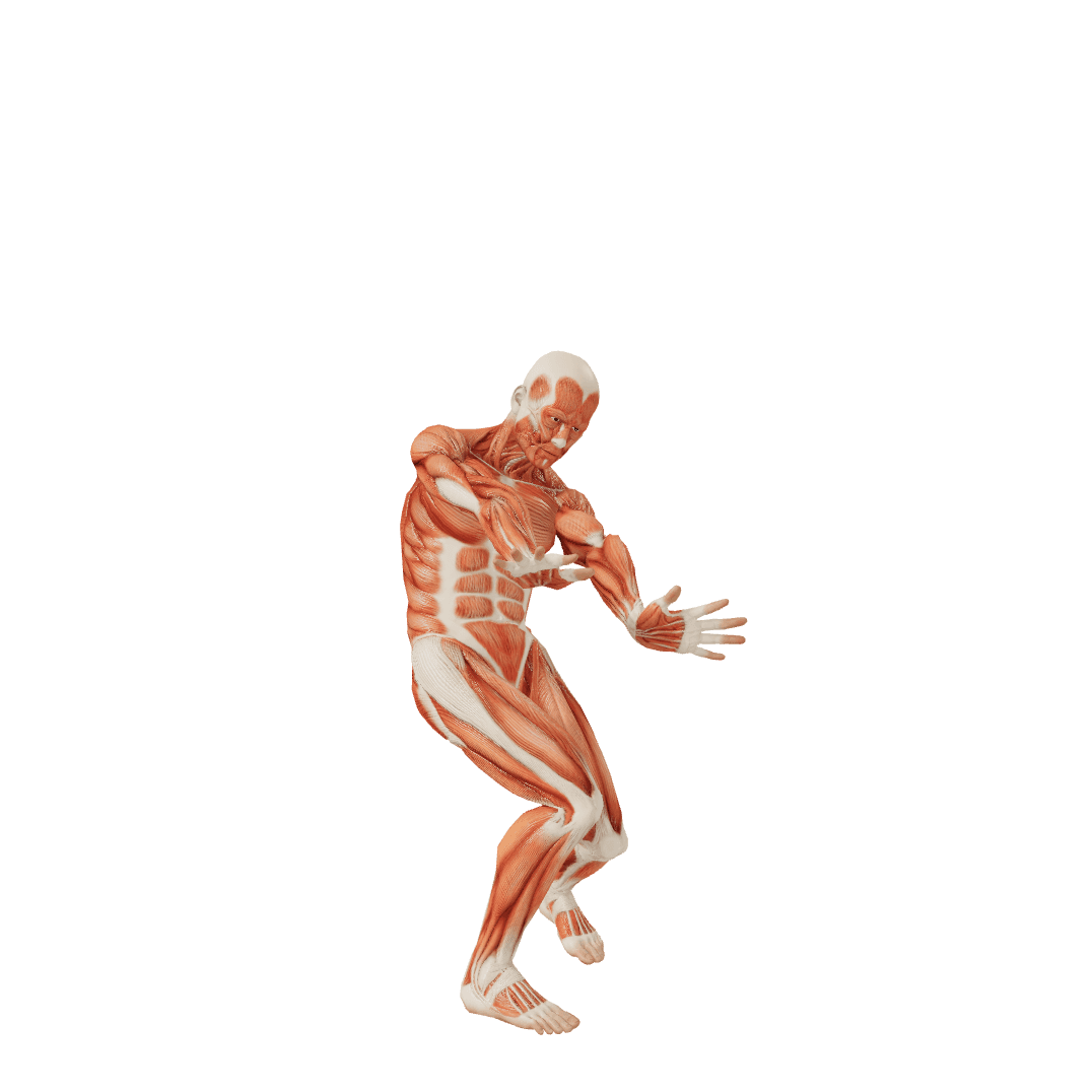 Pushing Unisex poses | POSEMANIACS - Royalty free 3d pose reference for ...