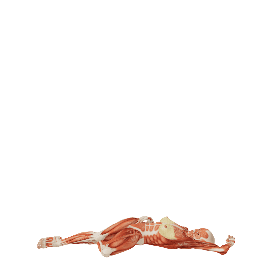 On back Female poses | POSEMANIACS - Royalty free 3d pose reference for ...