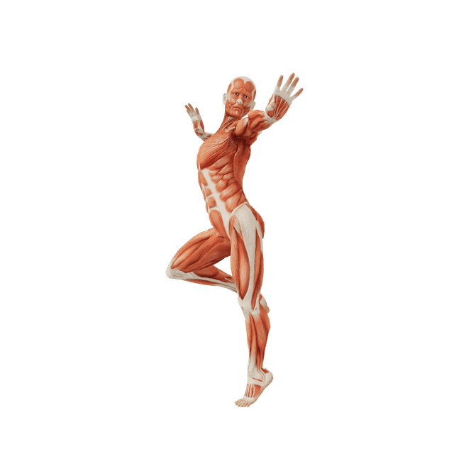Floating Unisex poses | POSEMANIACS - Royalty free 3d pose reference ...