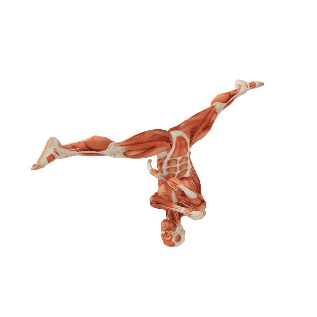 Floating Unisex poses | POSEMANIACS - Royalty free 3d pose reference ...