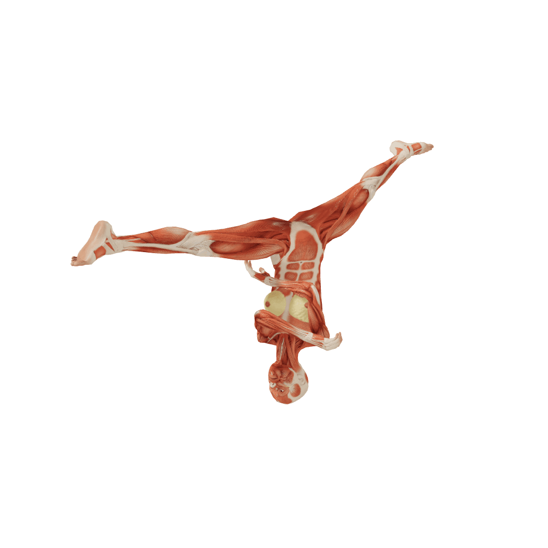 Floating Female poses | POSEMANIACS - Royalty free 3d pose reference ...