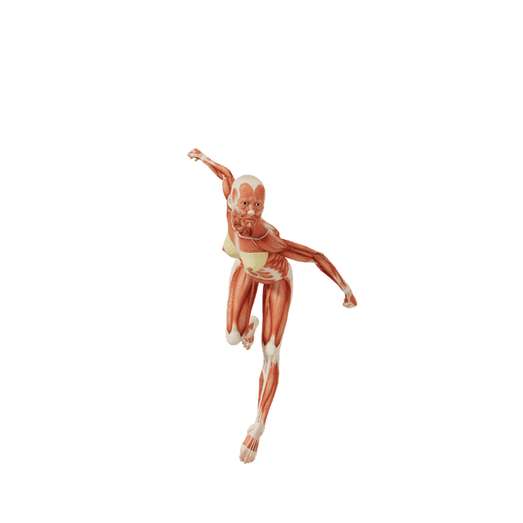 Athletics Unisex poses | POSEMANIACS - Royalty free 3d pose reference ...