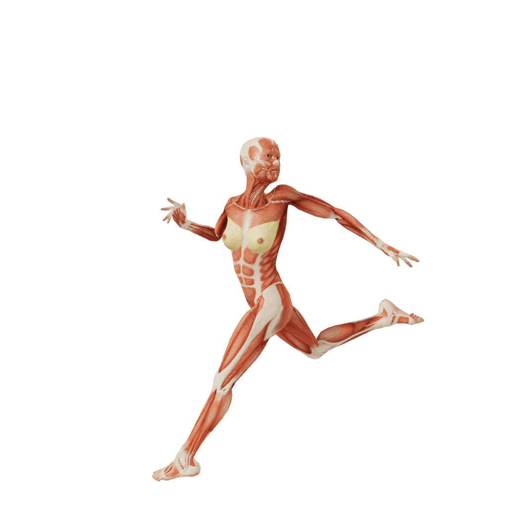 Running Female poses | POSEMANIACS - Royalty free 3d pose reference for ...