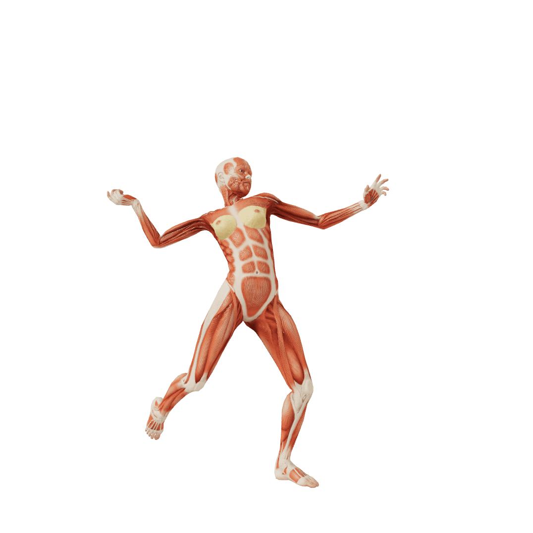 Athletics Female poses | POSEMANIACS - Royalty free 3d pose reference ...
