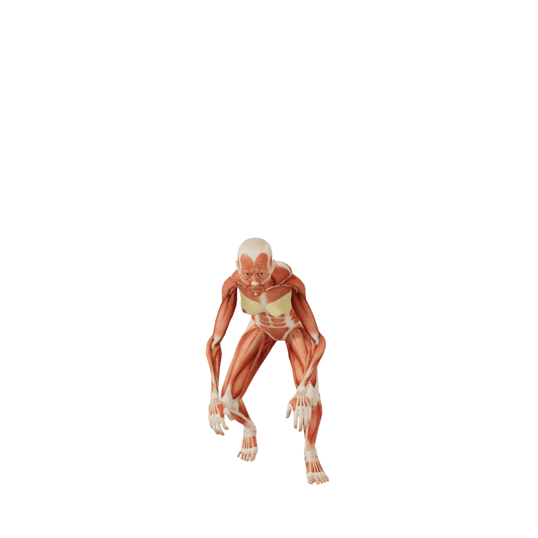 Walking Female poses | POSEMANIACS - Royalty free 3d pose reference for ...