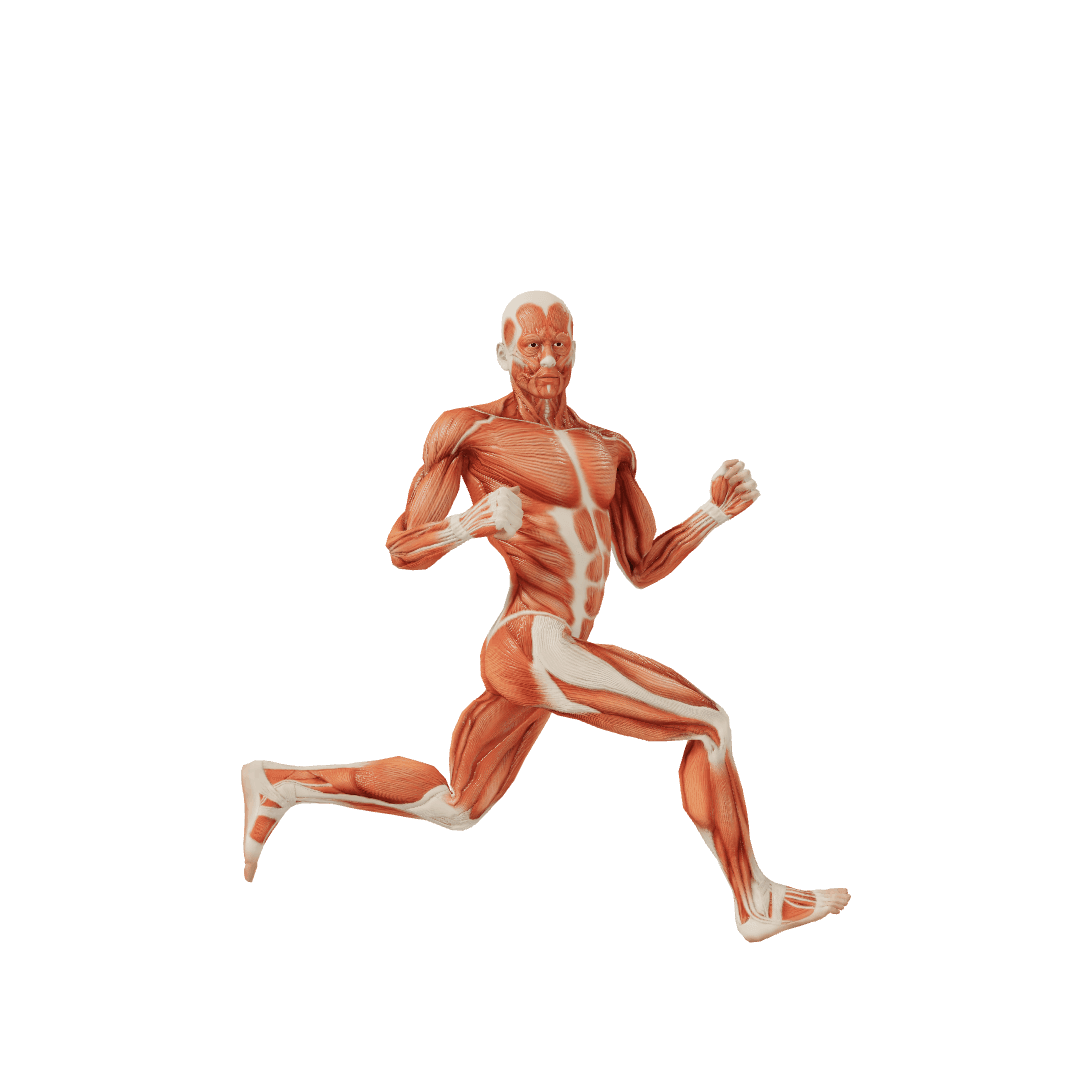 Running Unisex poses | POSEMANIACS - Royalty free 3d pose reference for ...