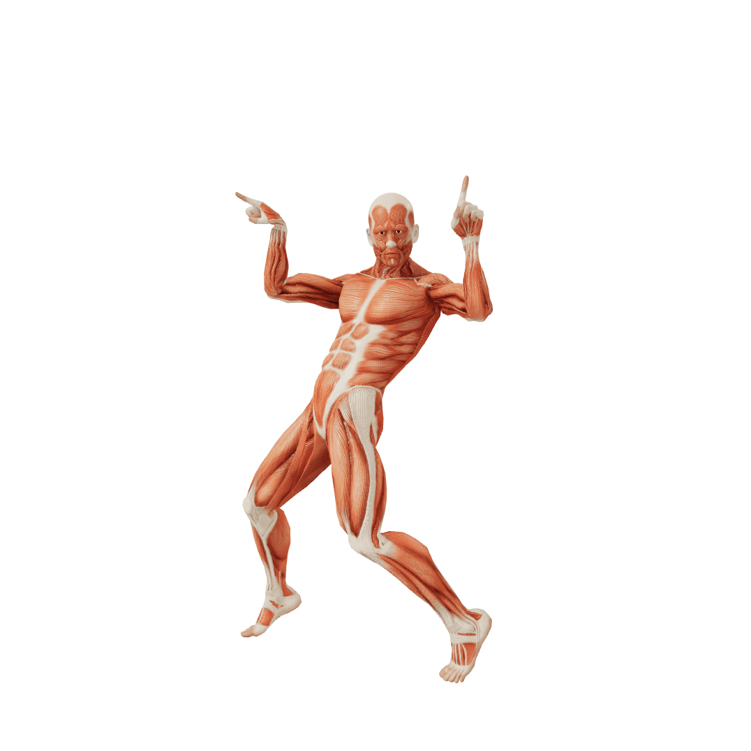 Pose 0000635, Male, Running, Pointing, Twisting body, Raising arm ...