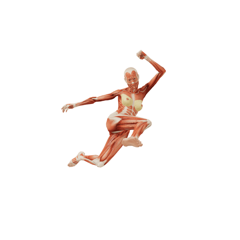 Pose 0100053, Female, Sports, Twisting body, Raising leg, Twisting neck ...