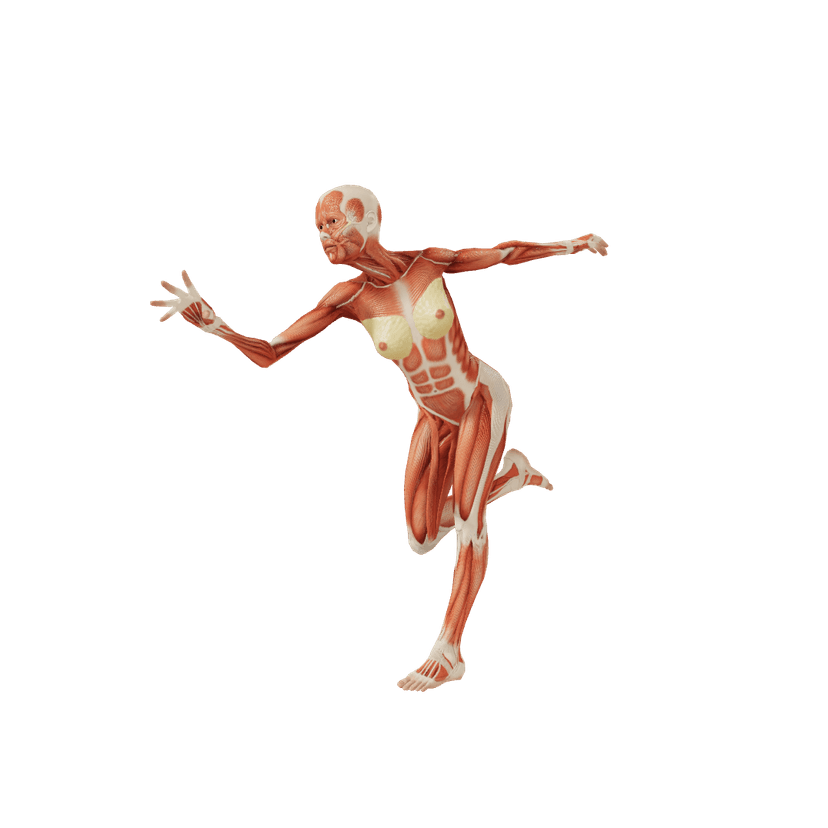 Running Unisex poses | POSEMANIACS - Royalty free 3d pose reference for ...