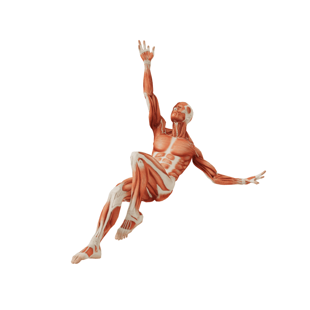 Pose 0000731, Female, Jumping, Falling, Floating | POSEMANIACS ...