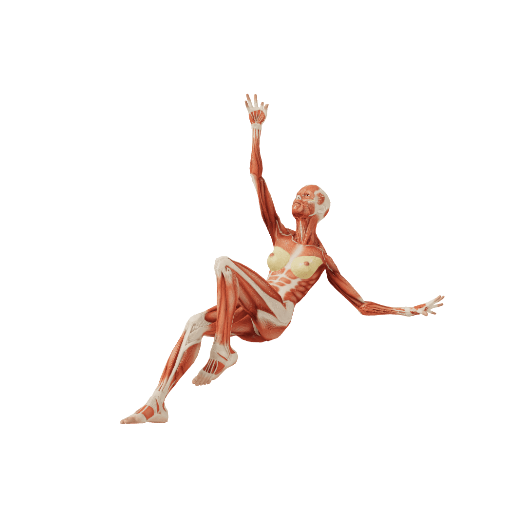 Pose 0000694, 女性, ジャンプ, 落ちる, 体軸を捻る, 腕を上げる, ぶらさがる | POSEMANIACS - Royalty free 3d pose reference ...