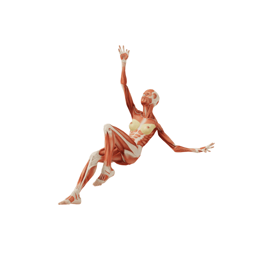 Falling Unisex poses | POSEMANIACS - Royalty free 3d pose reference for all artists