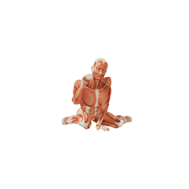 Kneeling Male poses | POSEMANIACS - Royalty free 3d pose reference for ...