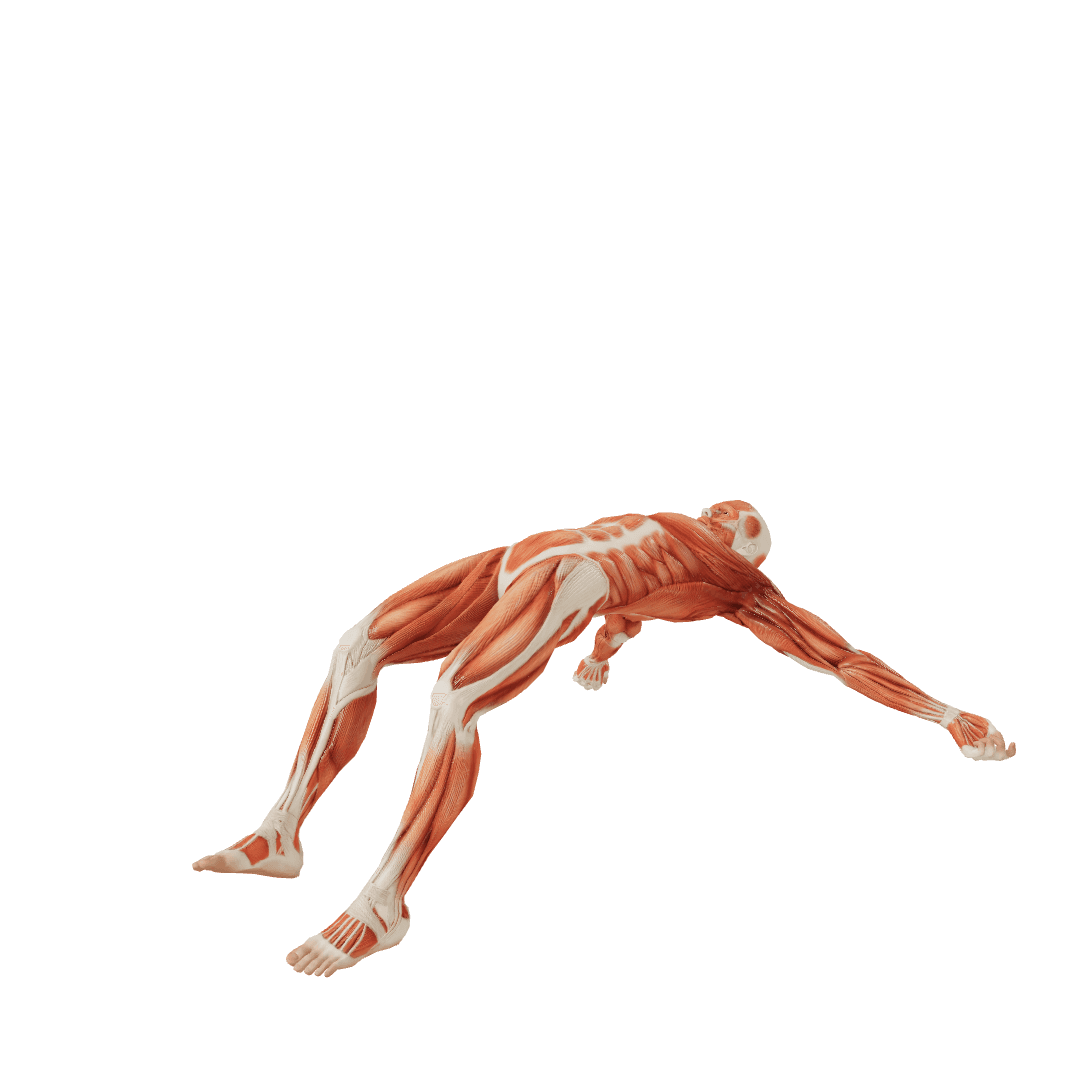 Floating Male poses | POSEMANIACS - Royalty free 3d pose reference for ...