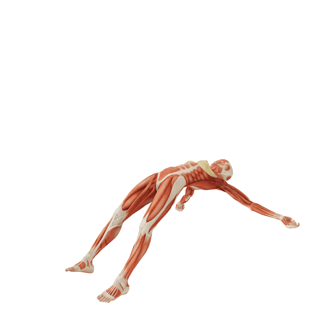 Pose 0000731, Female, Jumping, Falling, Floating | POSEMANIACS ...