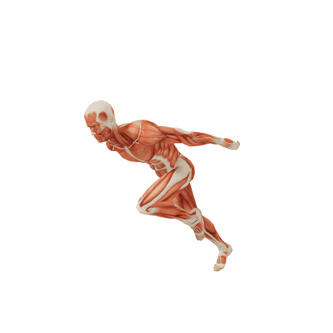 Pose 0000635, Male, Running, Pointing, Twisting body, Raising arm ...