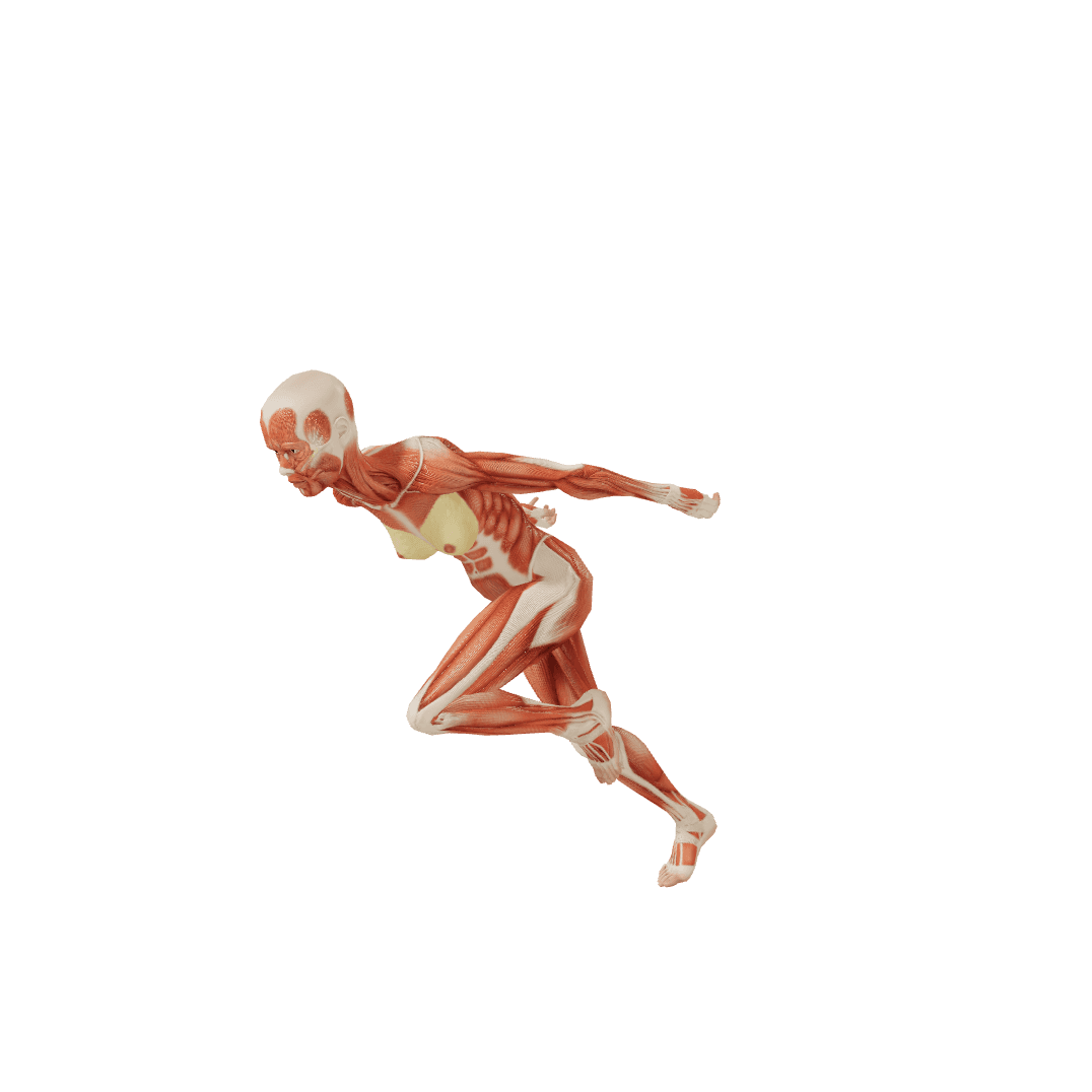 Pose 0000635, Male, Running, Pointing, Twisting body, Raising arm ...