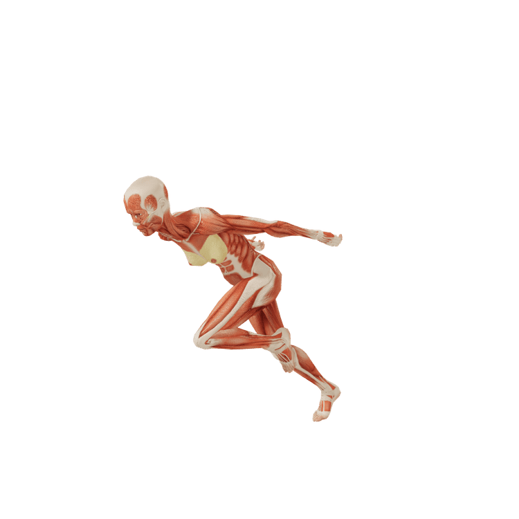 Running Unisex poses | POSEMANIACS - Royalty free 3d pose reference for ...