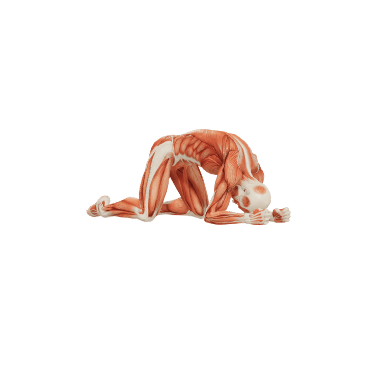 Sad Unisex poses | POSEMANIACS - Royalty free 3d pose reference for all ...