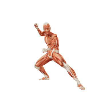 Pose 0000422, Male, Standing, Twisting body, Raising arm, Twisting neck ...