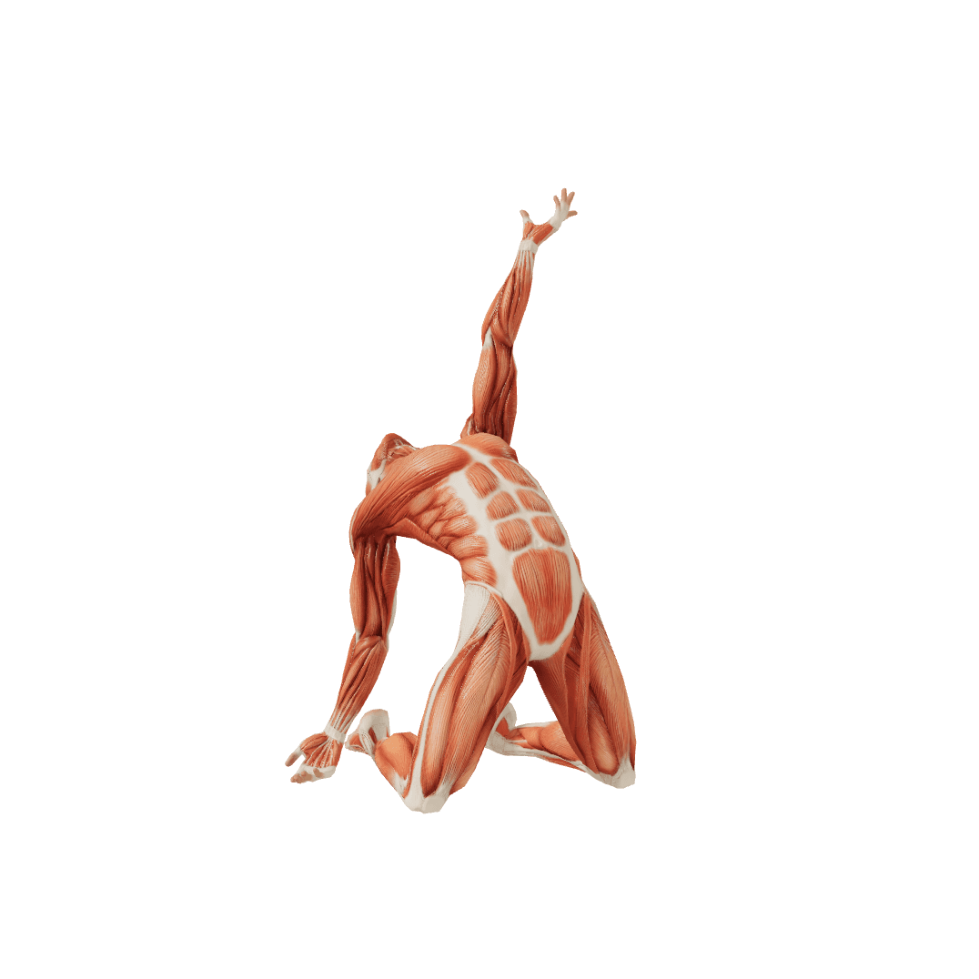 Kneeling Male poses | POSEMANIACS - Royalty free 3d pose reference for ...