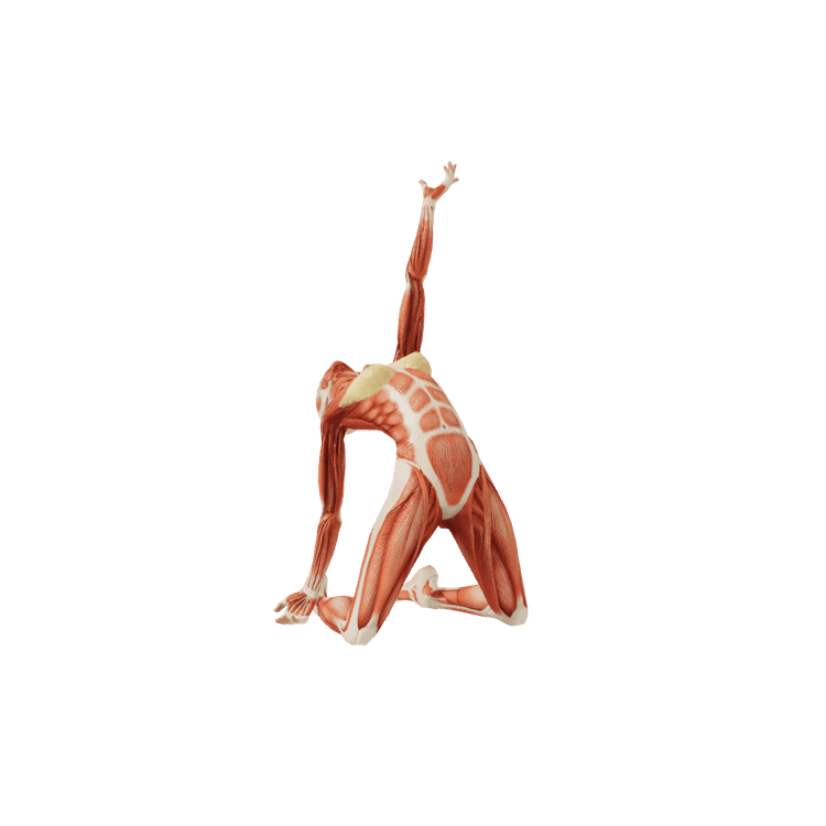 Kneeling Female poses | POSEMANIACS - Royalty free 3d pose reference ...